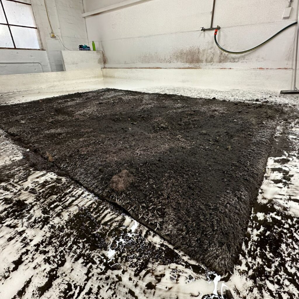 Bubble Master Rug Spa | Canberra Rug cleaning